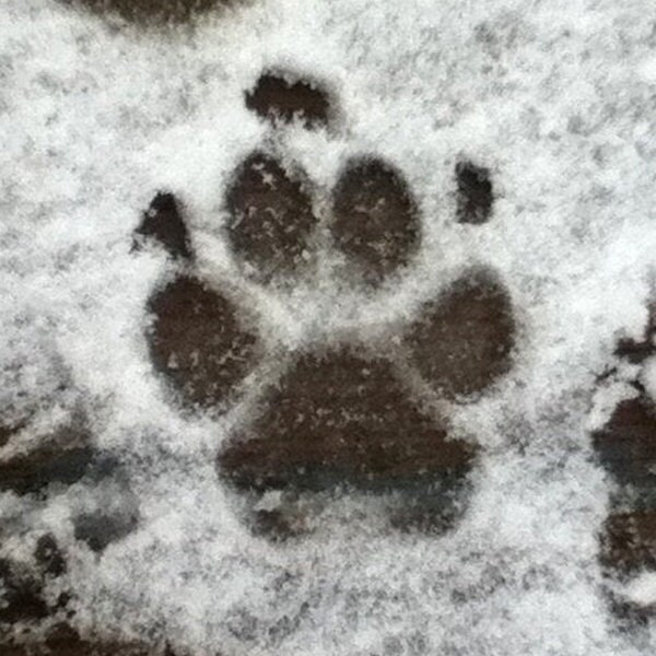 Christian Cross Ceramic Art Tile Stained Glass-look Ceramic Tile Gift ...