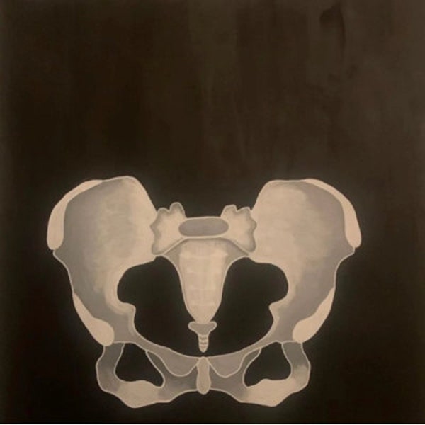 The Scandia Collection Folk Art Partridge Pattern Magnetic Dishwasher ...