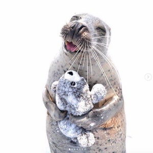 Modern Throw Rug/abstract Combed Curves Rug/handmade Area Rug /gift for ...