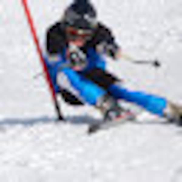 Humanity Has No Borders Bumper Sticker / Decal or Magnet - Etsy