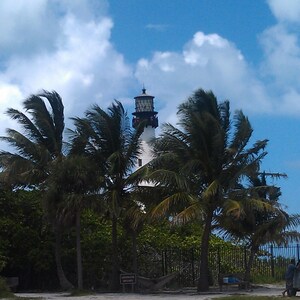 Modern Tropical Back to School Bulletin Board or Classroom Door Decor ...