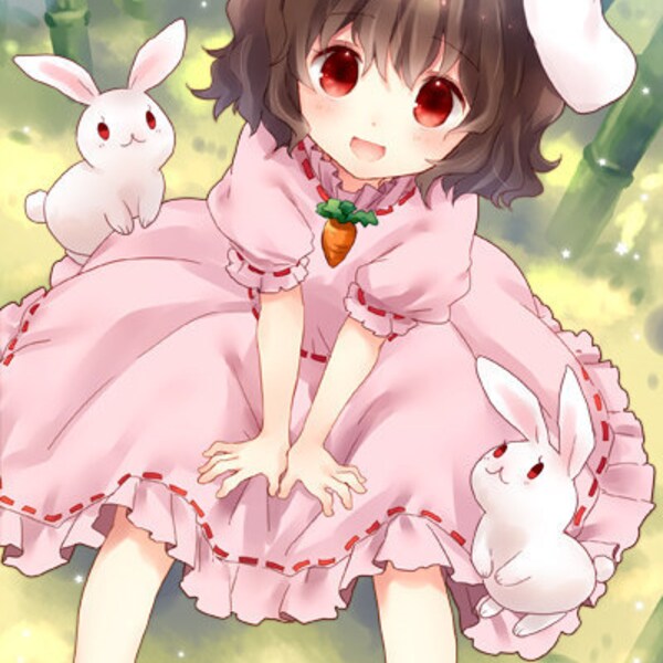 Cute Animated Stream Alert Twitch Alert, Alert Box, Animated Alert ...