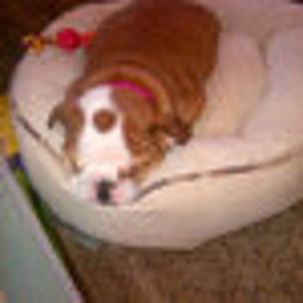 AT 1797 / Little Robin Designs / Cross Stitch Chart / Sampler / Pattern ...