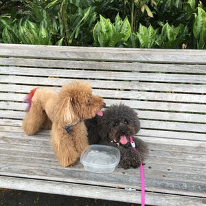 Blue Series Readers Set 2 montessori Phonics Books, Consonant Blends - Etsy