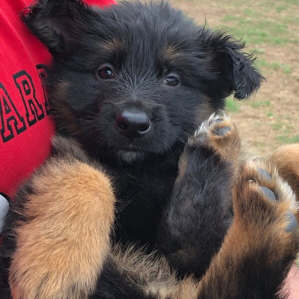 JacobsWoodDesigns - Etsy