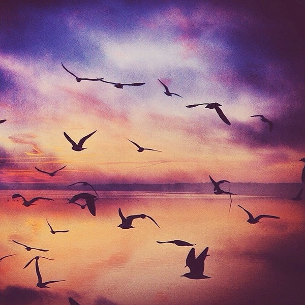 Personal Ring Printable Insert, Daily Grid Set B, Personal Ring Inserts ...