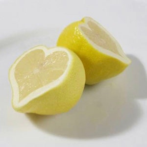 Siren Reading a Book Fine Art Print Surreal Fantasy Wall Decor, Moody ...