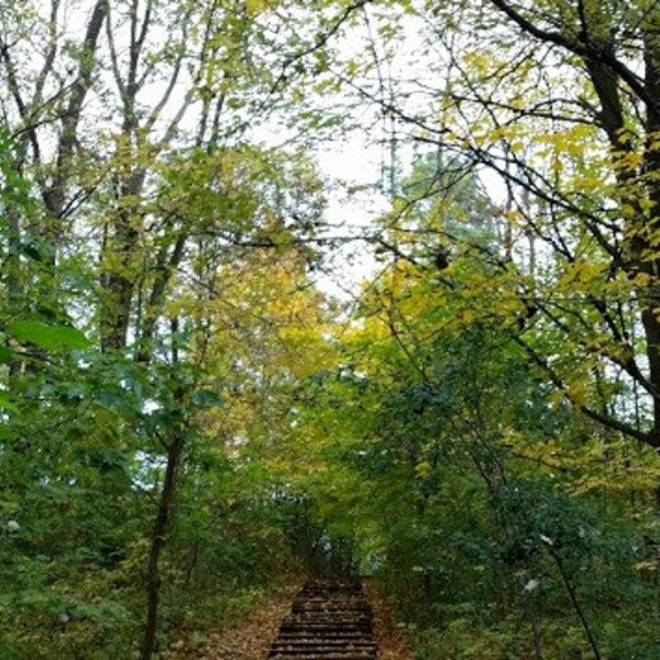 Custom House Number Arrow Sign, Personalized Address Sign With ...