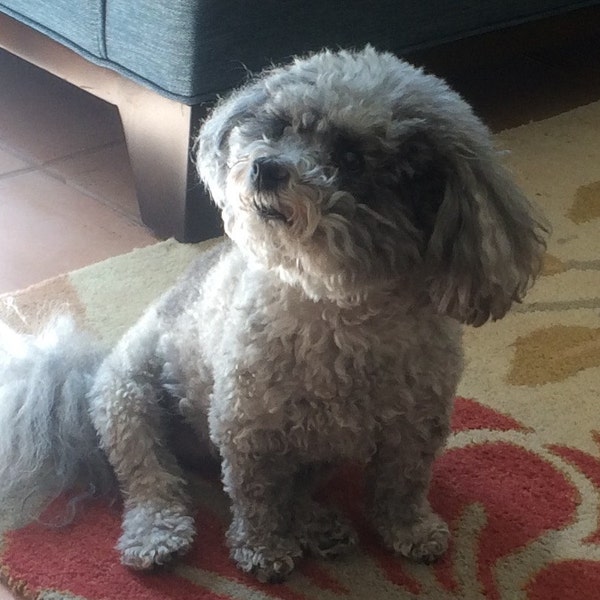 Mood Bead Mirage Bead Polymer Clay Bead Heat Sensitive Bead Sapphire ...