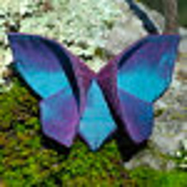 Pollination and Seed Dispersal Information & Photographs Montessori ...