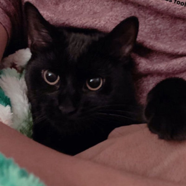 Spiked Medieval Bizantine Chain - Etsy