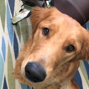 Trade Winds Quilt Pattern, Basicgrey PAT060, Fat Quarter FQ Friendly Pattern, Blowing Falling ...