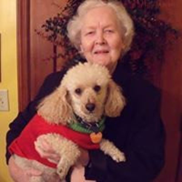 Custom Doctor Cupcake Topper, Personalized Cupcake Toppers, Medical ...