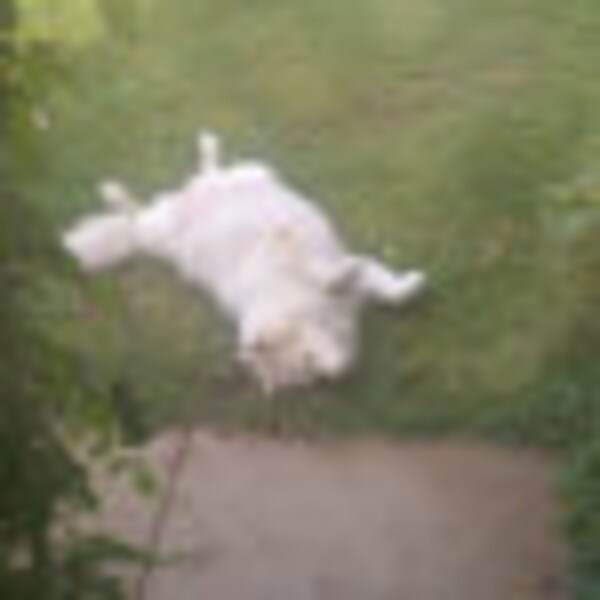 Teacher Appreciation Gift Ruler Personalized You Rule Ruler Engraved ...