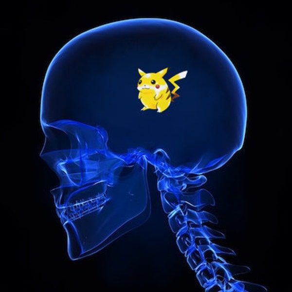 Trafalgar Rainbow Carry on Crossbody Bag - Etsy