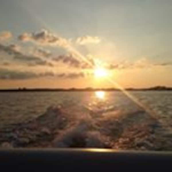 Preppy Golf Swing Instructional Print Vintage Golf Wall Decor for Women ...