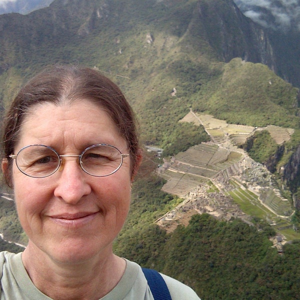 Alpinia Formosana pinstripe Ginger - Etsy