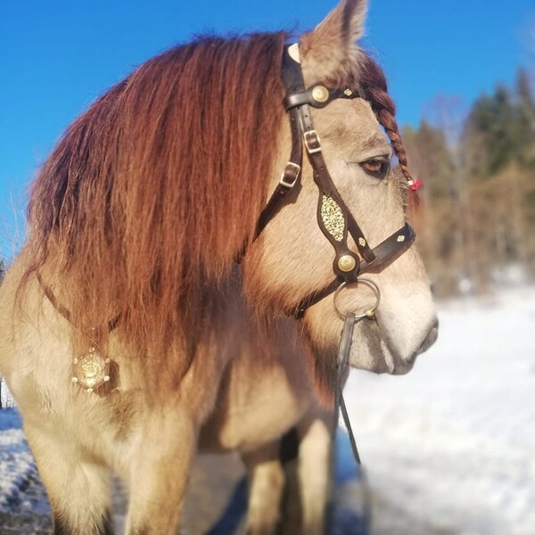 Custom Bugaboo Accessories Canopy, Seat Liner, Stroller Bag, Apron for ...