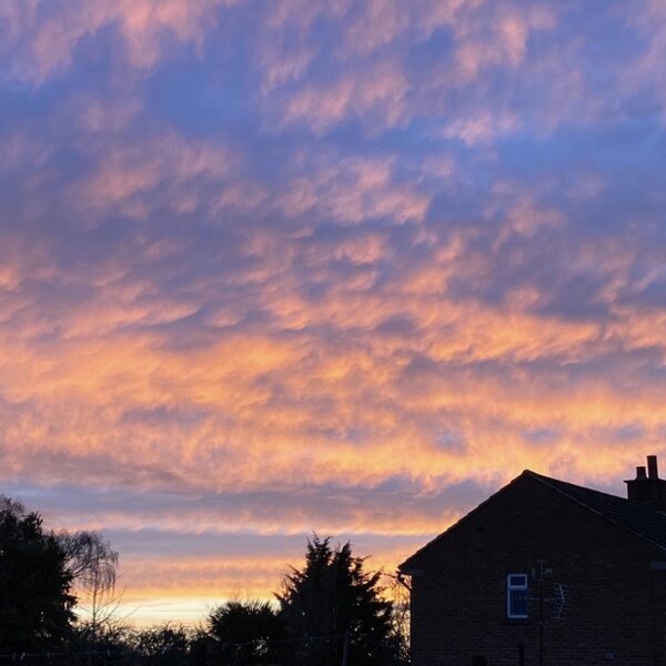 Born to Be Wilde. Oscar Wilde Poster. Book Cover Art. - Etsy UK