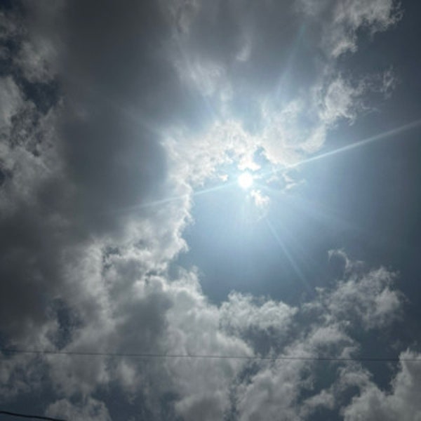 Womens AKA Hand Sign Words Includes Eps, Svg & Png. AKA Digital ...