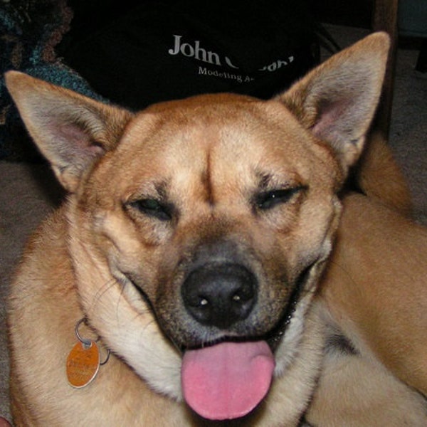 Vintage Macrame Pattern for Women's Beaded Jacket PDF Macrame Pattern ...