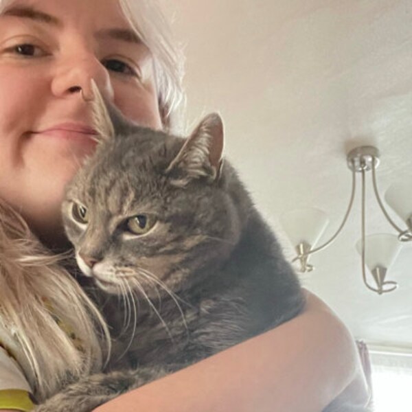 Slommy Cross Stitch Pattern / Funny Subversive Needlepoint / Gen Z ...