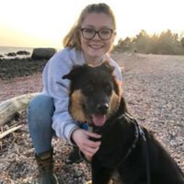 Personalized Dog Gift, Pet Portrait, Dog Lover Gift, Dog Illustration ...