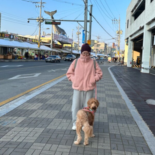 Ivory Cookie Box With Clear Lid Pack of 5 Cookie Boxes Pastry Boxes ...