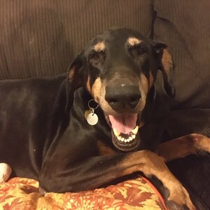 24oz Cold Cup Box Template, Gift Box Template, Window Box Template, SVG ...