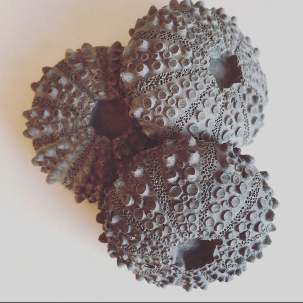 Printable Driving Test Card, New Driver Card, Driving Test Gift ...