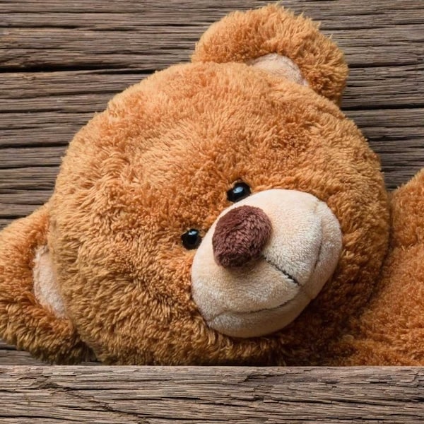 Arctic Fox Couple Printable Cute Foxes in the Woodland Wildflowers ...