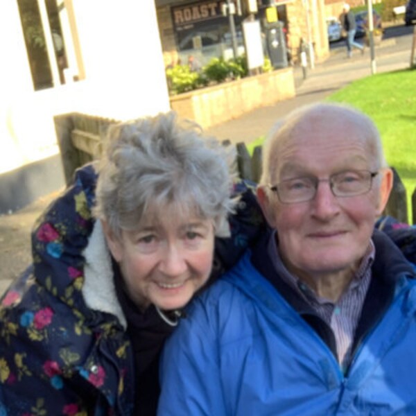 PRINTABLE PDF Diamond Dotz to DMC Colors Conversion Charts Diamond ...