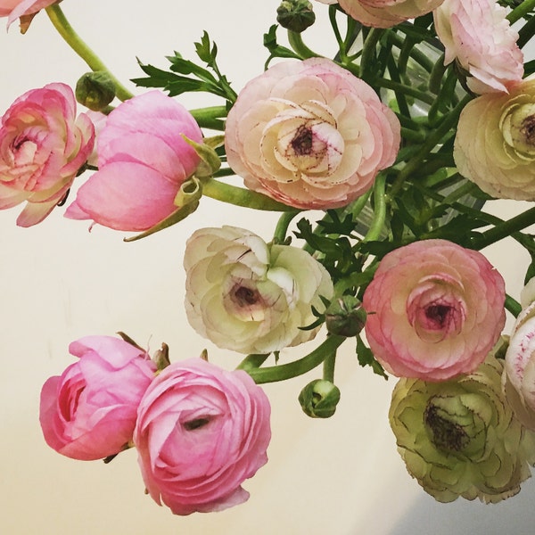 Science Lab Pipettes Set of 5 - Etsy