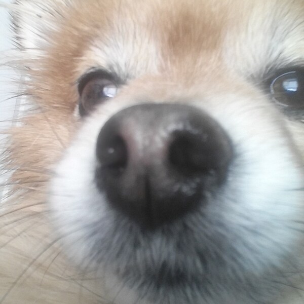 Excel Birthday Card Excel Nerd // Funny Excel Gift // Statistics ...