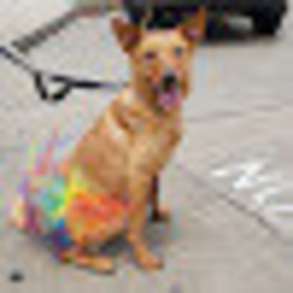 PINK HEARTS Digital Paper, Buy 2 Get 1 Free, Free Commercial Use for ...