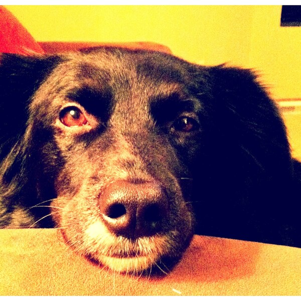 Freya Tile Stencil Scandinavian Tile Stencils, Floor Tile Stencils ...