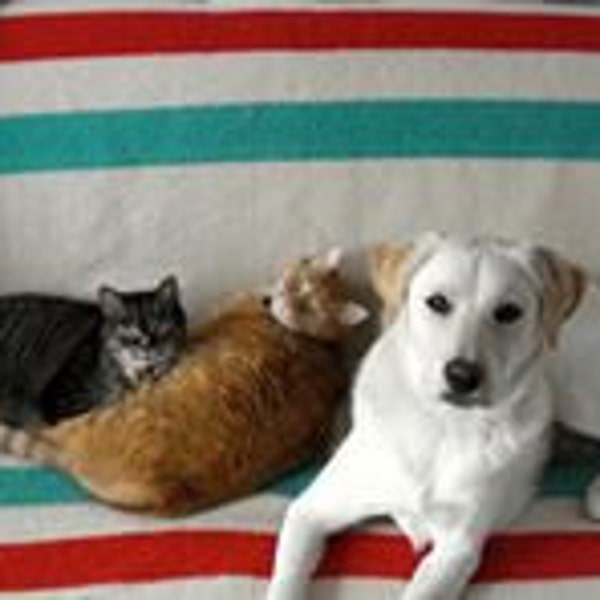 Six Mini Model A Cars Wood Toy Plans and Patterns PDF Download SVG File ...