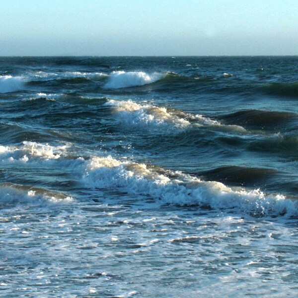 Watercolor Cute Kitten Clipart Bundle, Fluffy Kitten, Kitten Picture ...