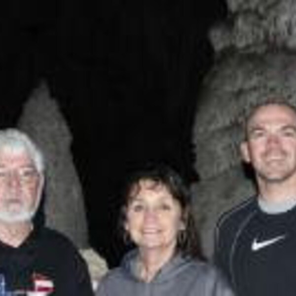 Bare Tree Machine Embroidery Design - Etsy