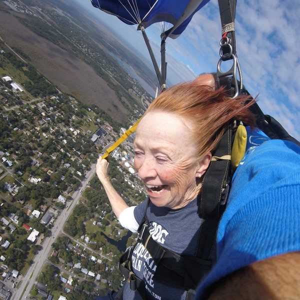 Bullseye 90 COE Confetti on Clear Fusible Glass 3x6.75, 3 X 4.75 Panels ...