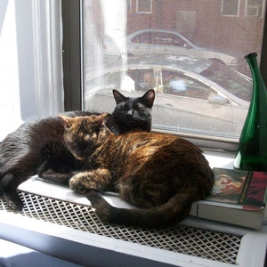 Bibliophile Definition Print Book Wall Art Book Lover Print Book Print ...