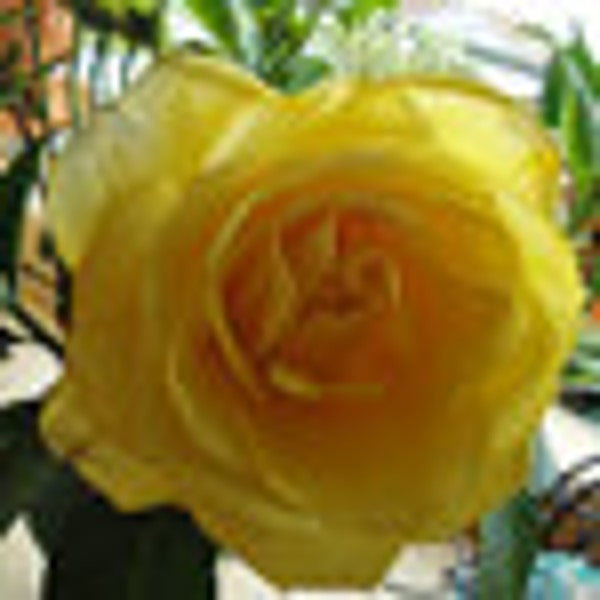 Little Lemonade Girls Lemonade Stand Clip Art Set - Etsy