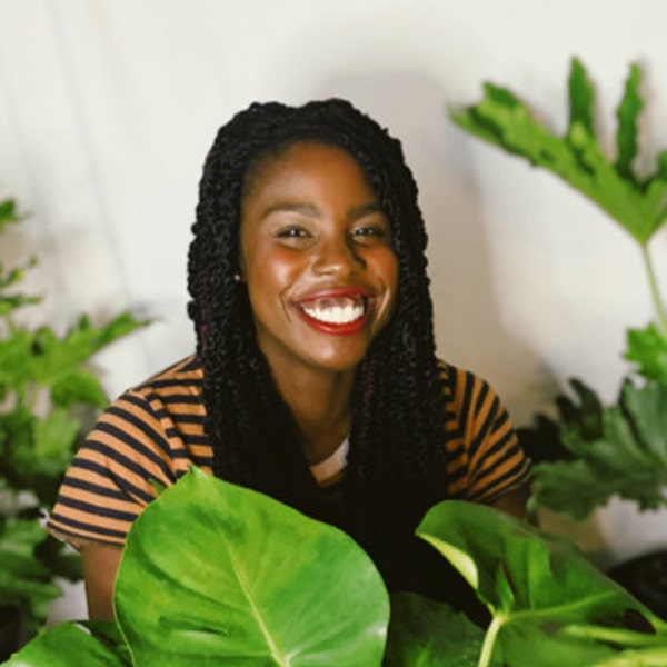 CHLOE Plant Hanger PATTERN and Knot Guide/ DIY/ Macrame Basics/ Learn ...