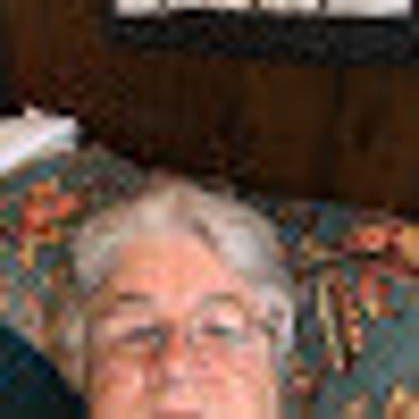 HANNAH THE HIPPO Quilt Pattern - Etsy