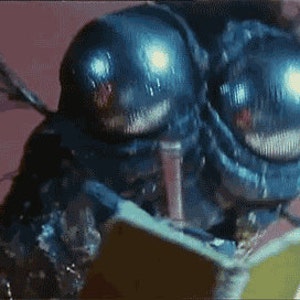 Jungle Temple Ruin Map Encounter Map, dnd, Battlemap, Dungeons and Dragons, 5e, Roll20, Fantasy ...