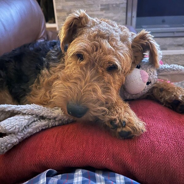 3D Seattle Digital Files 3D STL File Seattle 3D Map 3D City Art 3D ...