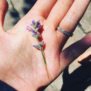 Tissue Box Cover, Jade White, Tissue Box, Tissue Cover, Minimalist ...