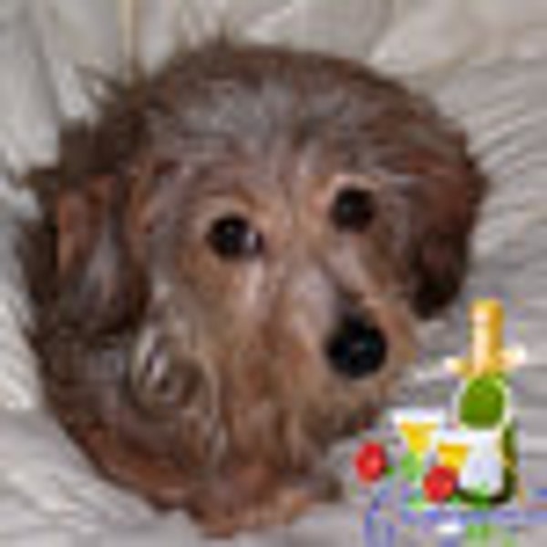 Weather Digital Stamps Commercial Use, Cloud, Rain and Sun Graphics ...