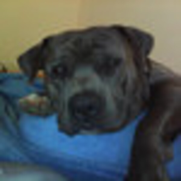 Psyche Opening the Golden Box - Etsy