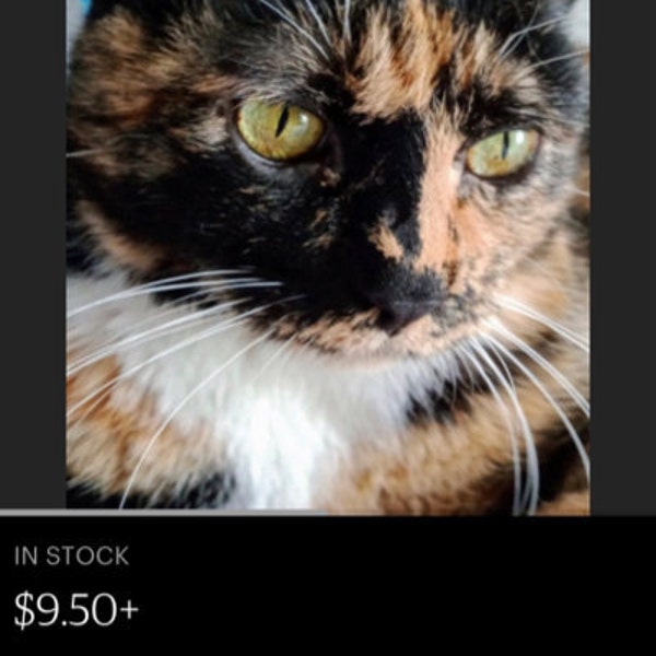 Rose Resilience Enamel Lapel Pin - Etsy